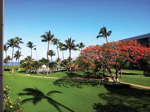 Shell Vacation Club | Resort Directory Maui Sunset